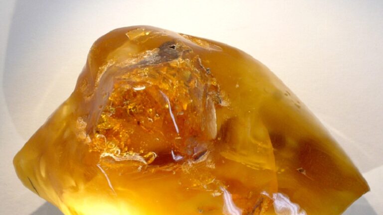 Cómo Saber Si Es Ambar Real | Tutorial Paso A Paso 2024 | ComoPedia